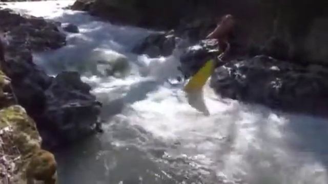 18 июня 2022 г.