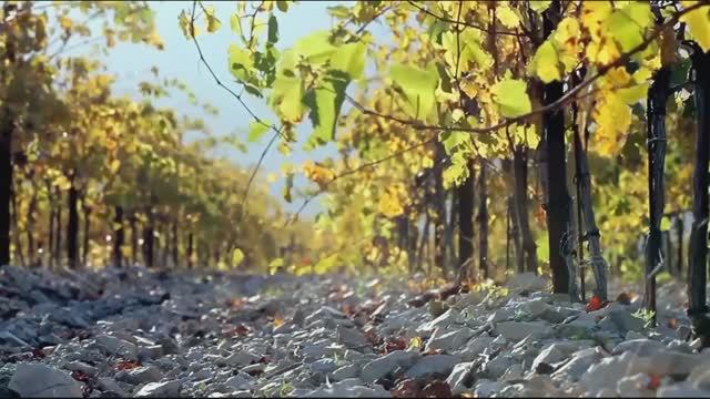 5  часть.  Анапа. Винодельня Абрау-Дюрсо.