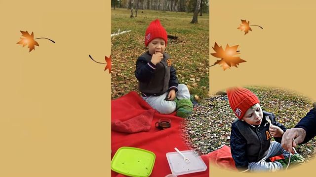 Осенний пикник