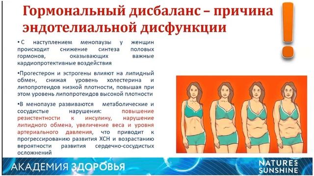 Эндотелий сосудов, как показатель женского здоровья. Гердт А.М., терапевт, невролог, нутрициолог.