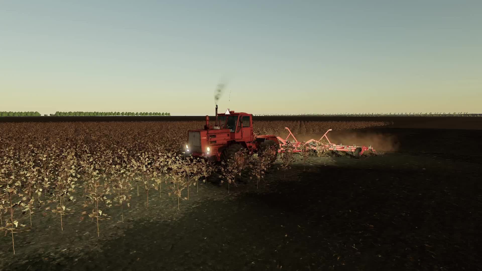 Совхоз Новгородовка. Приехали развивать новый колхоз