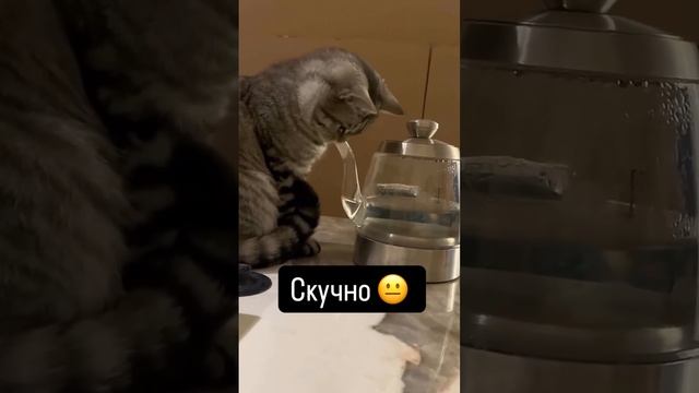 скучно 🥱