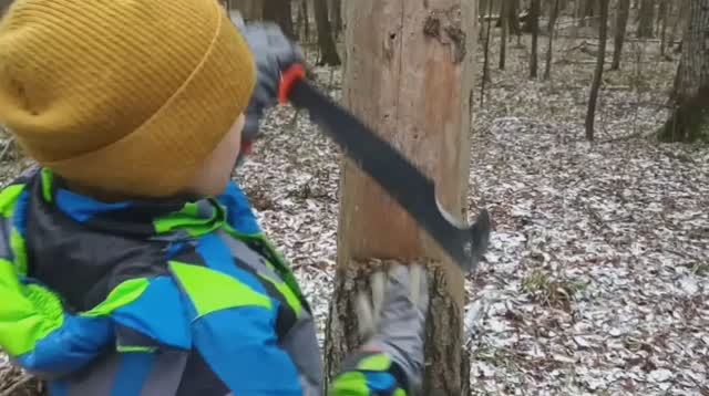 Ищем рога лося