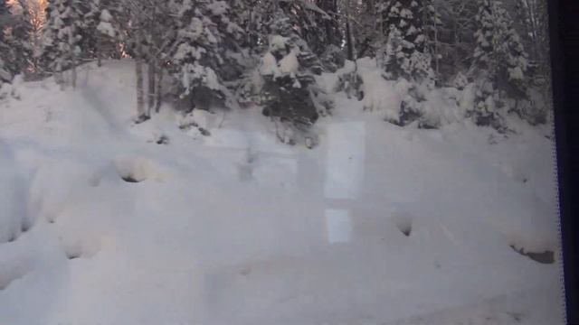 АРХАНГЕЛЬСКИЕ МОРОЗЫ 2023