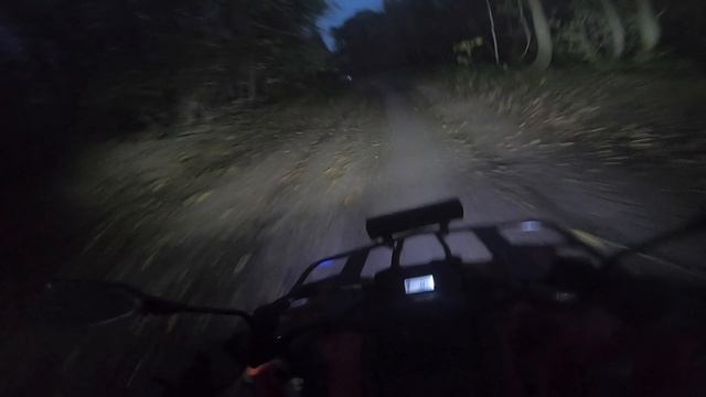 Паша прохваша фильм 1