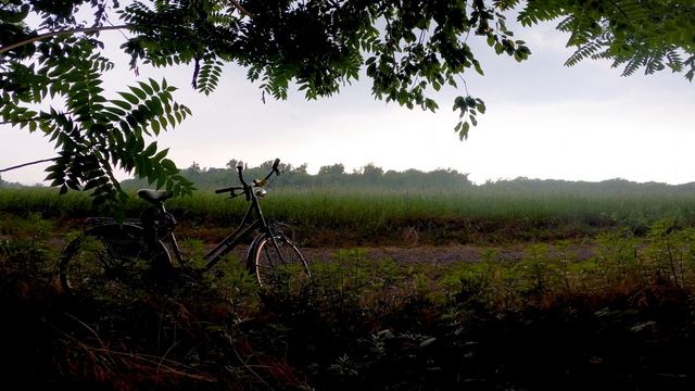 4664360-uhd_3840_2160_30fps