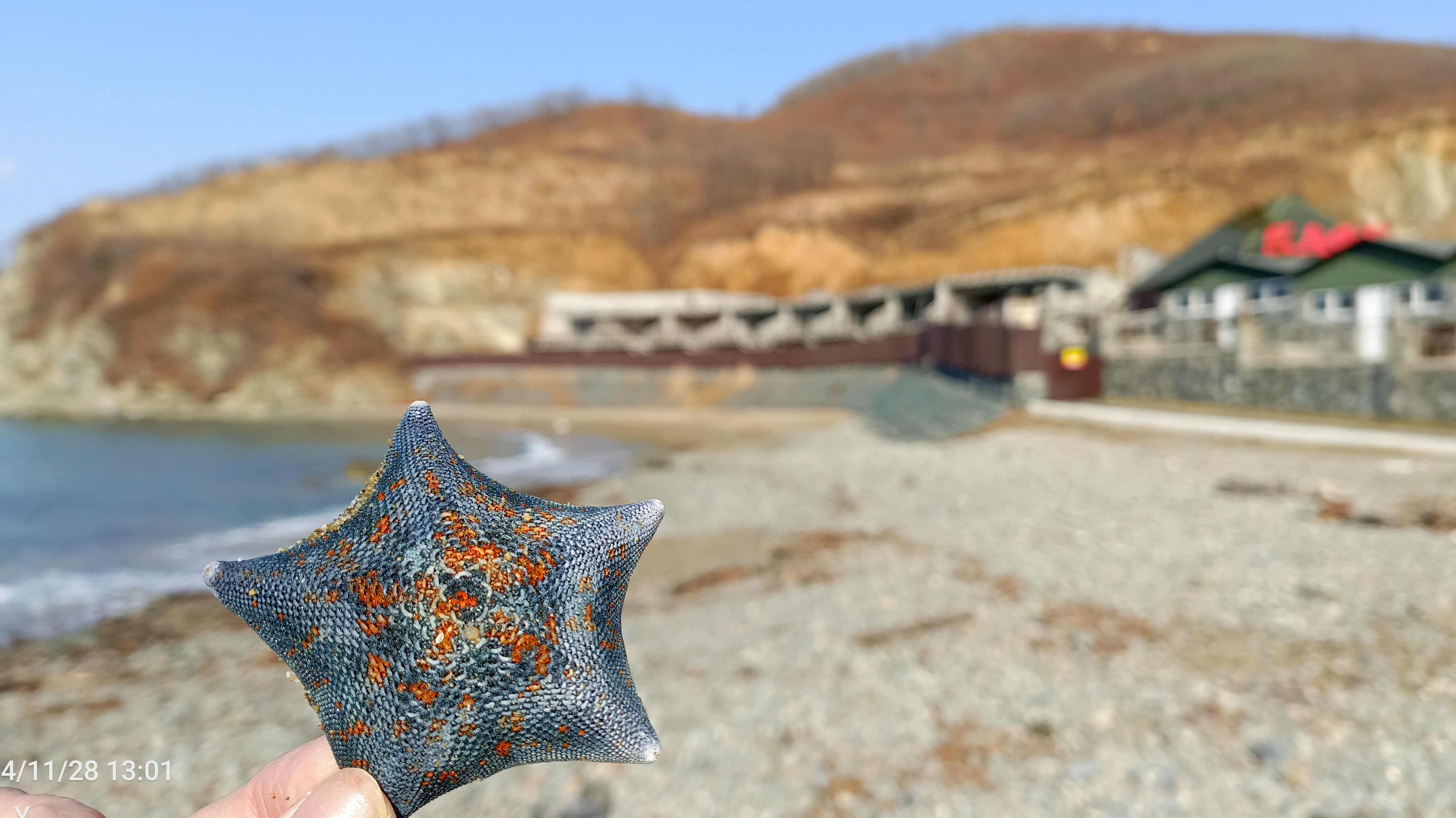 пляж Рица, г.Находка