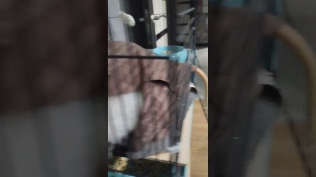 короткие видео