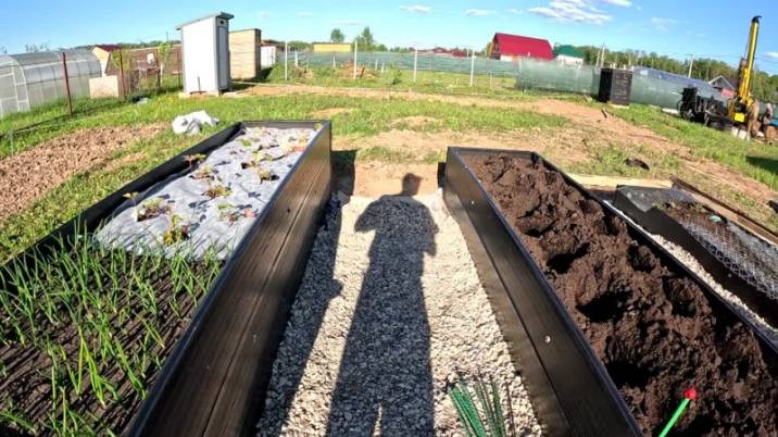 Грядки. Дорожки. СВЕТА и помидоры