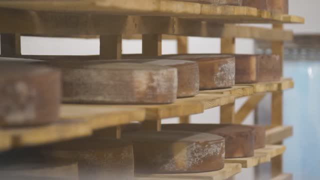 Конференция, сыроварня, тимбилдинг и квадроциклы: ИТ-сессия "Почты России" в Hilton Garden Inn