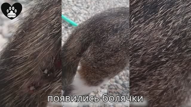 Девятнадцатая серия