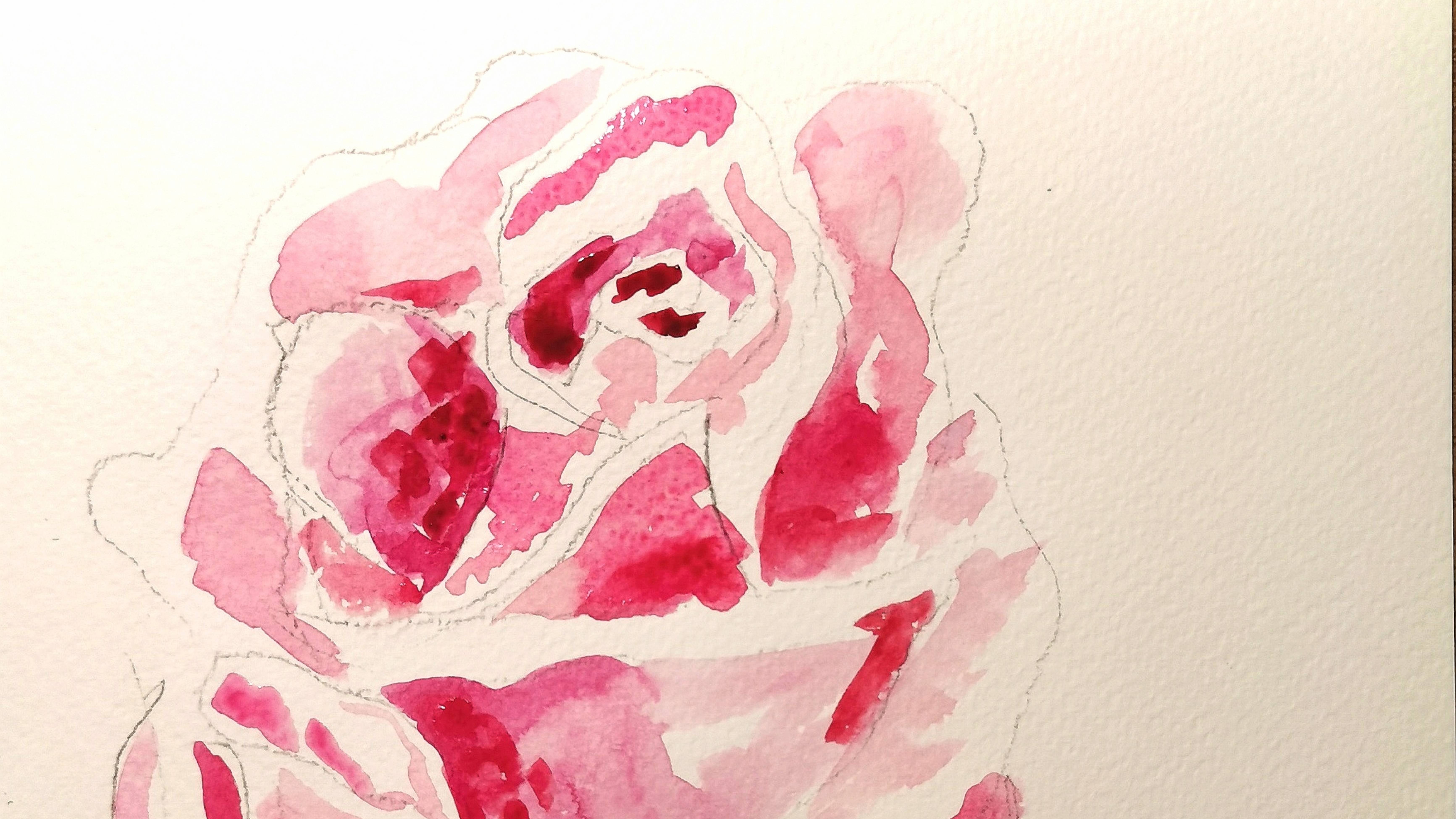 Роза акварельными красками