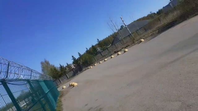 ВСЁ СБУДЕТСЯ КОТОРЫЙ РАЗ - МИХАИЛ ЧАР.238