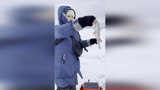 2021 - 2022. Зима