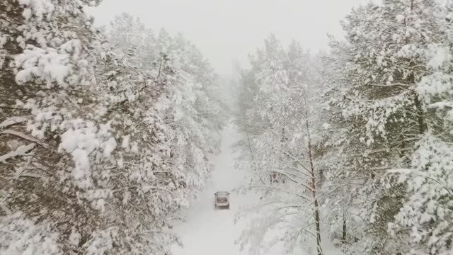 Презентационный видеоролик Коттеджный поселок "Прилесный" (зимний сезон)