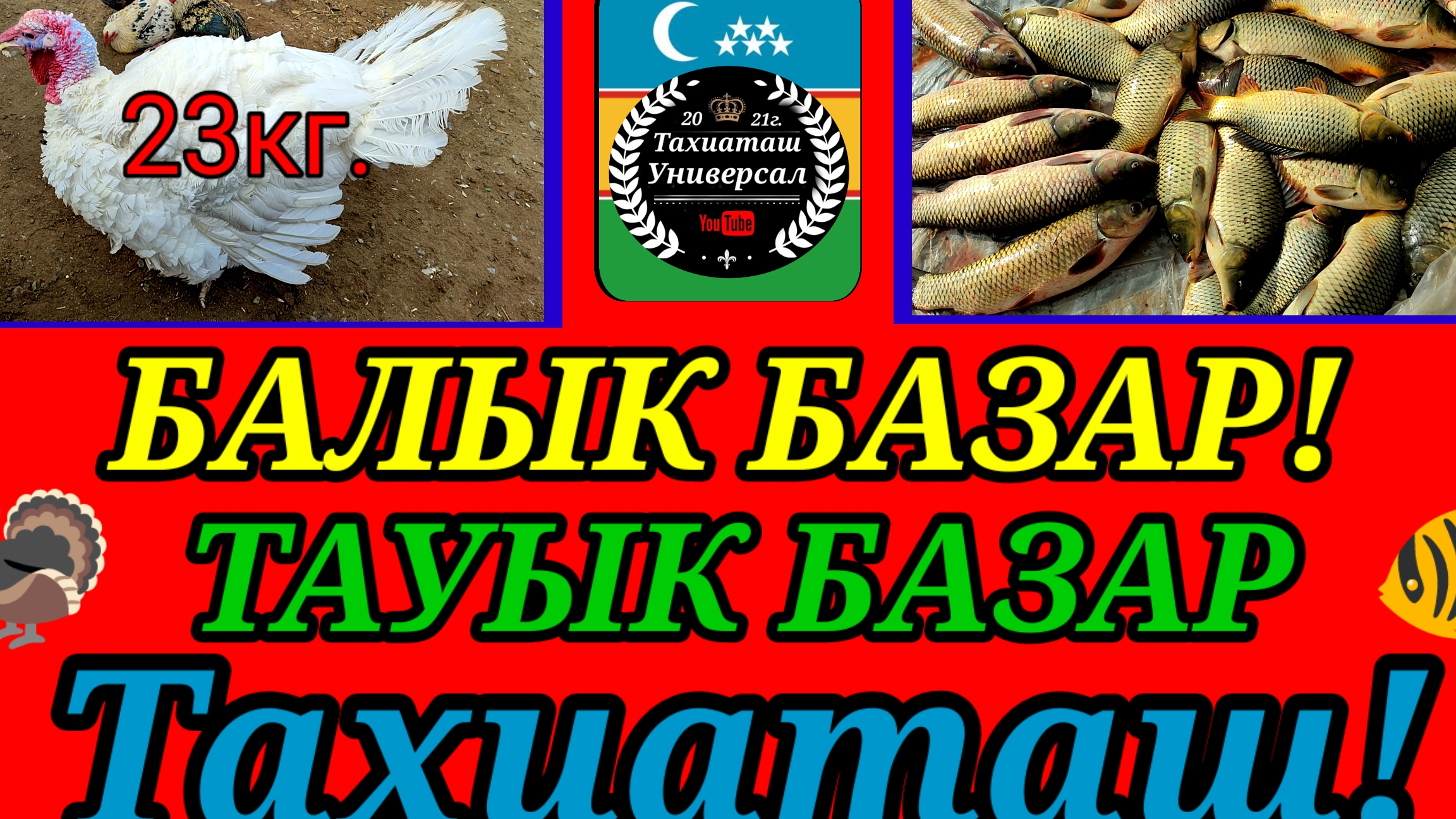 02-12-2024 ПТИЧИЙ РЫНОК -РЫНОК РЫБ.ТАХИАТАШ