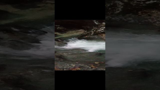 12 11.11.2024 17-00 25s