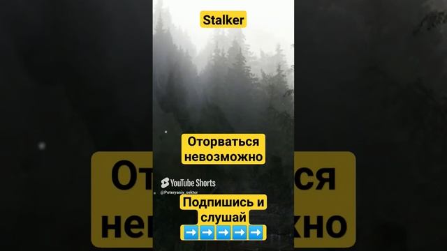 #сталкер #аудиокнига #stalker StalkerОторваться невозможноПодпишись и слушай➡️➡️➡️➡️➡️ (2)