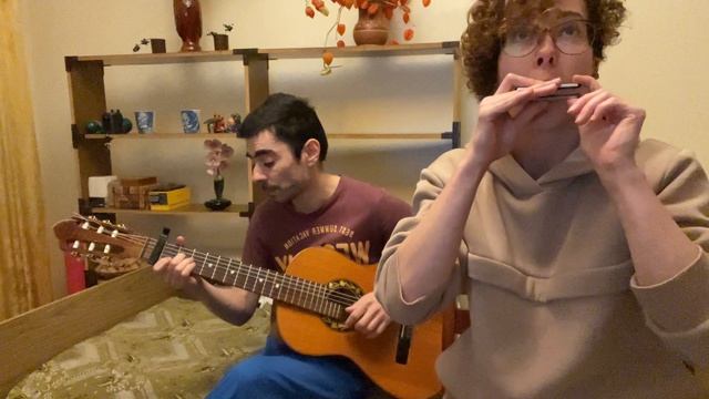 Варя играет Kiss the Blarney Stone
#stratocastro