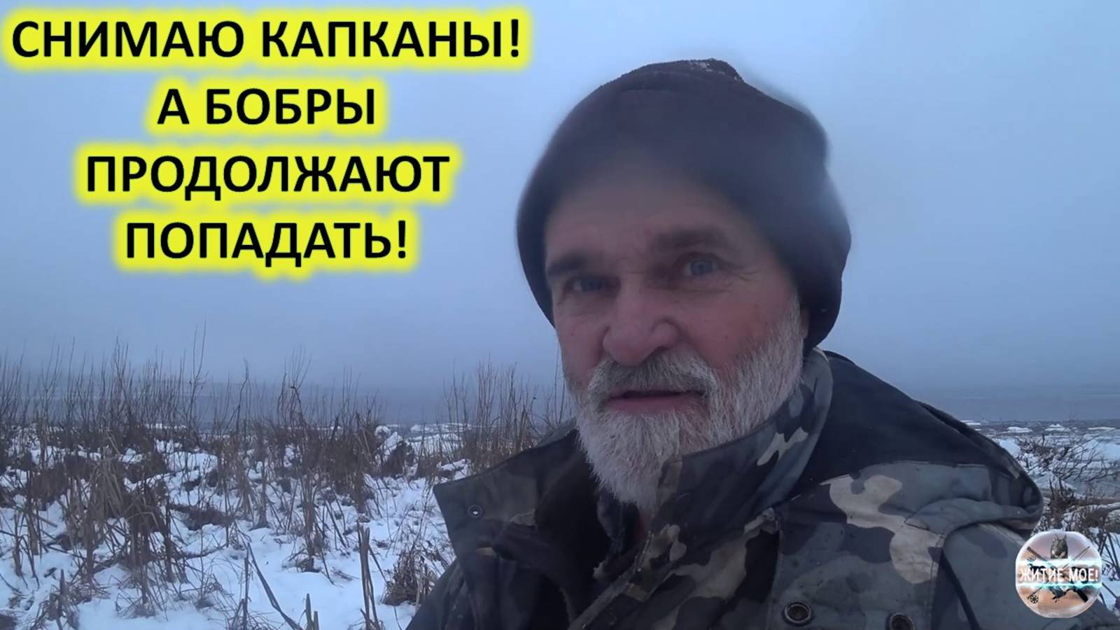 Осенняя охота на бобра с капканами. Проверка капканов на бобра