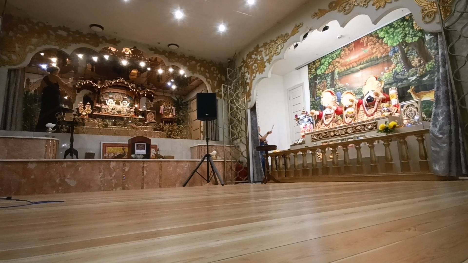 2024-11-28 Музыкальная Мантра Медитация Храм на Полежаевской