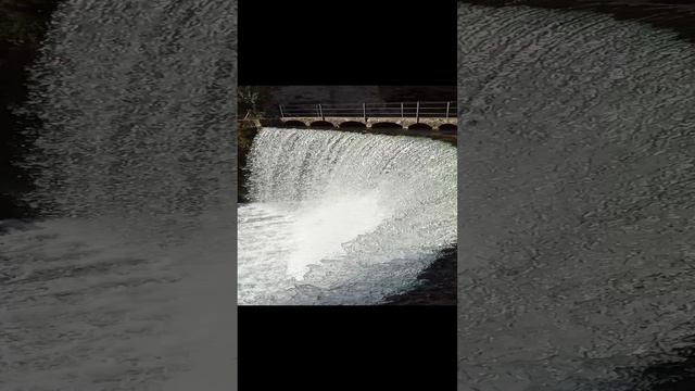 21 14.11.2024 13-39 30s