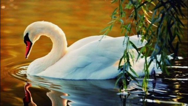 02-12-2024 "Белая лебедушка" Баллада (часть 1)