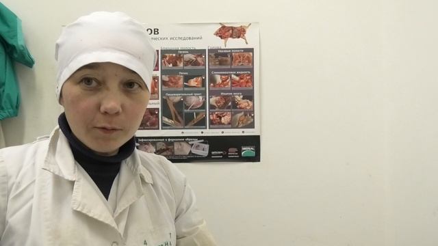 9 всэ мясо