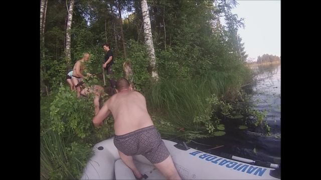 2016. Зубово. Лето