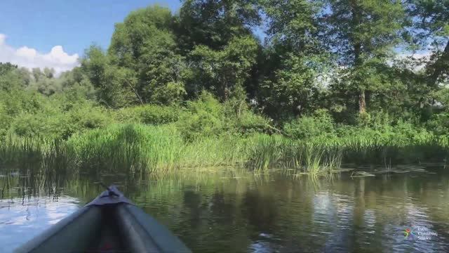 Корпоративный сплав по р.Таруса до отеля Welna, Калужская область. Водный тимбилдинг, эко-экскурсия