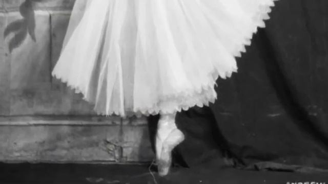 «Анна Павлова. Жизнь и легенда»