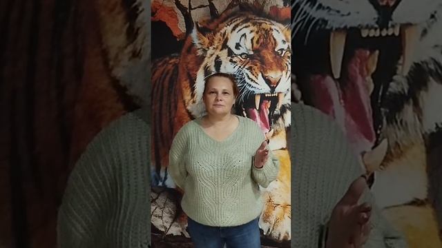 Отзыв, Форт Боярд,  1.12.2024