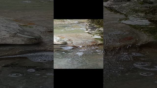 09 11.11.2024 10-37 30s