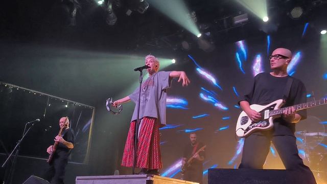 Мураками - Ласточки