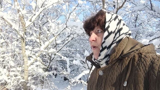 Красиво началась зима...