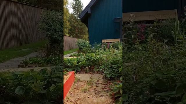 Отзыв наших любимых клиентов о доме PAHRA от @SWEDHUS #shorts