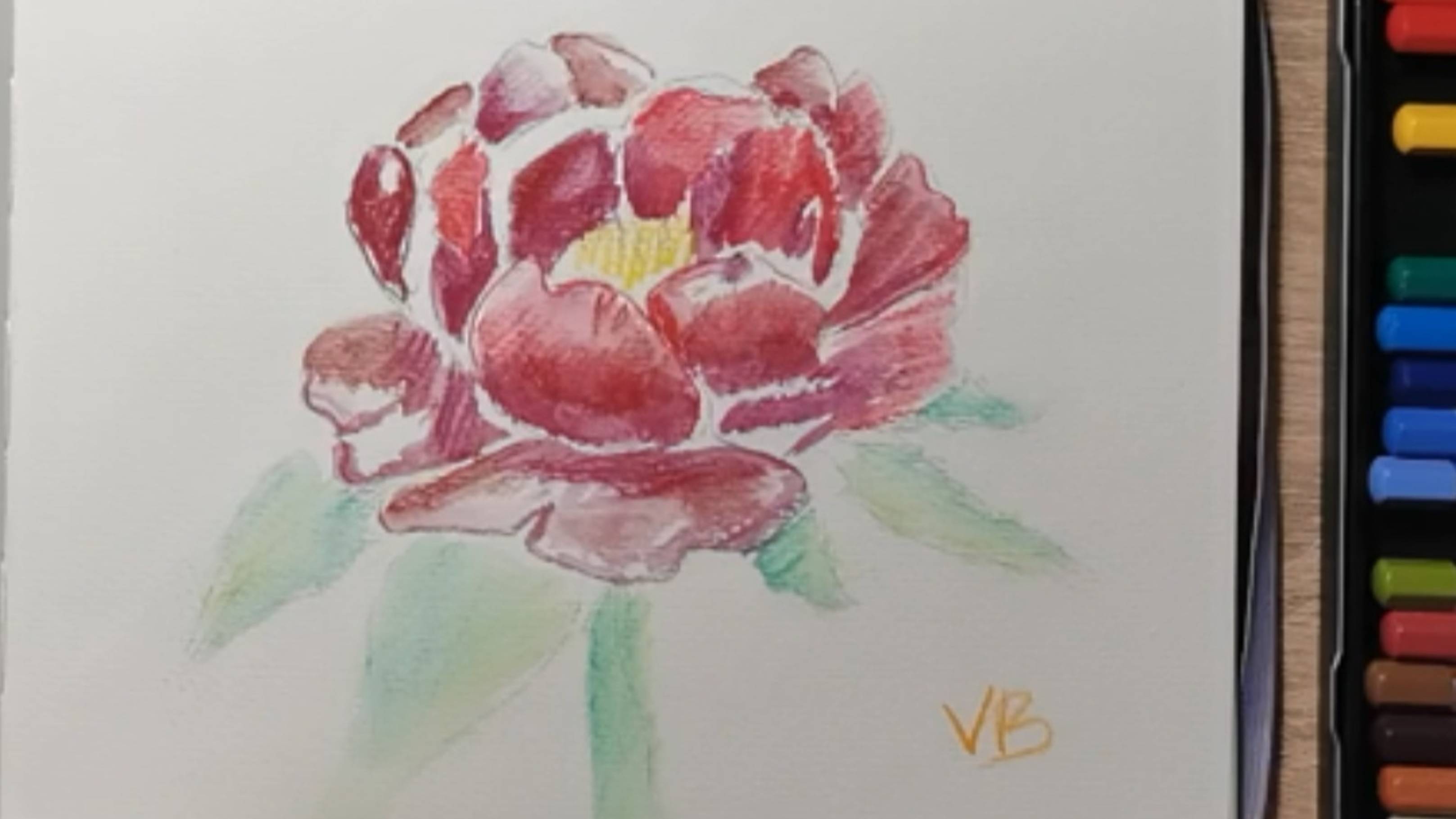 Пион акварельными карандашами