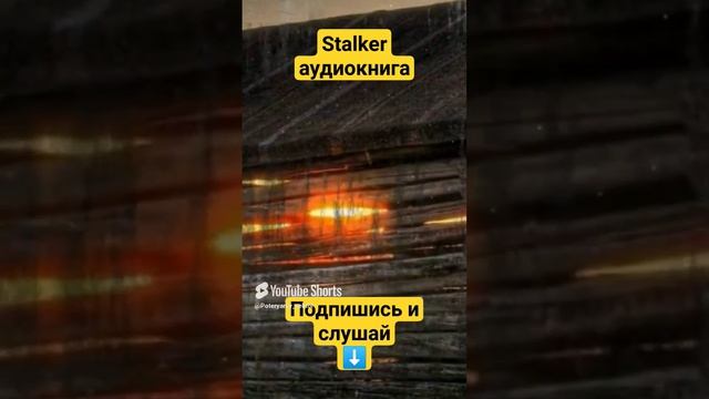 9 Фантомный поселок Потерянный сектор STALKER аудиокнига Александра Родина #аудиокнига #сталкер (2)