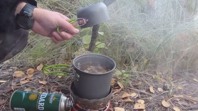 КЕМПИНГ НА БЕРЕГУ РЕКИ. ГОТОВЛЮ ГРИБОВНИЦУ ИЗ СВЕЖИХ ГРИБОВ. ЛЕСНАЯ КРАСОТА