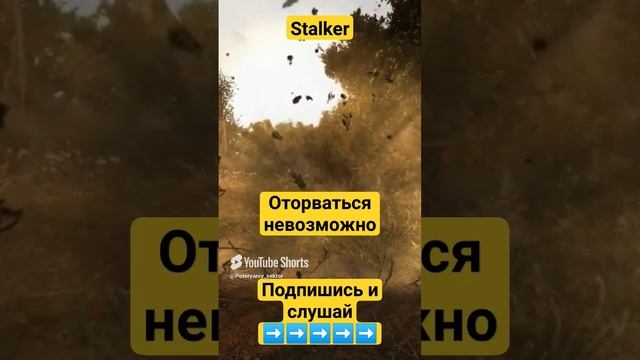 #сталкер #аудиокнига #stalker StalkerОторваться невозможноПодпишись и слушай➡️➡️➡️➡️➡️ (4)