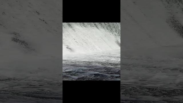 22 14.11.2024 13-50 30s