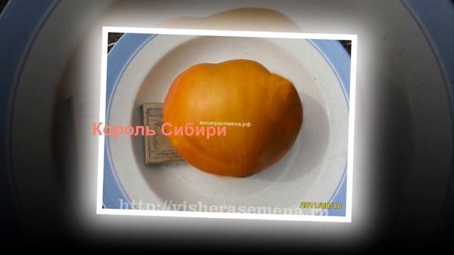 Очень вкусные и урожайные сорта для посадки в новом сезоне.