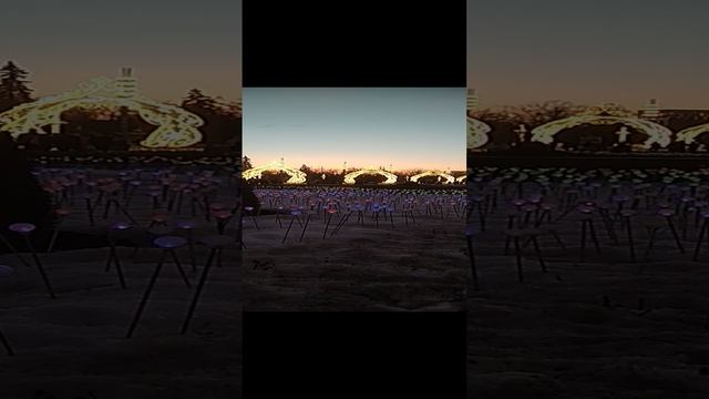 Москва. ВДНХ в новогоднем убранстве.