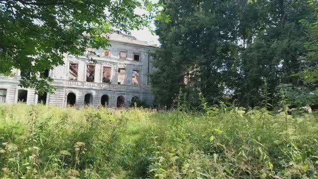 Заросший парк с прудом заброшенной дворянской усадьбы Полторацких.  д.Грузины. часть 3.