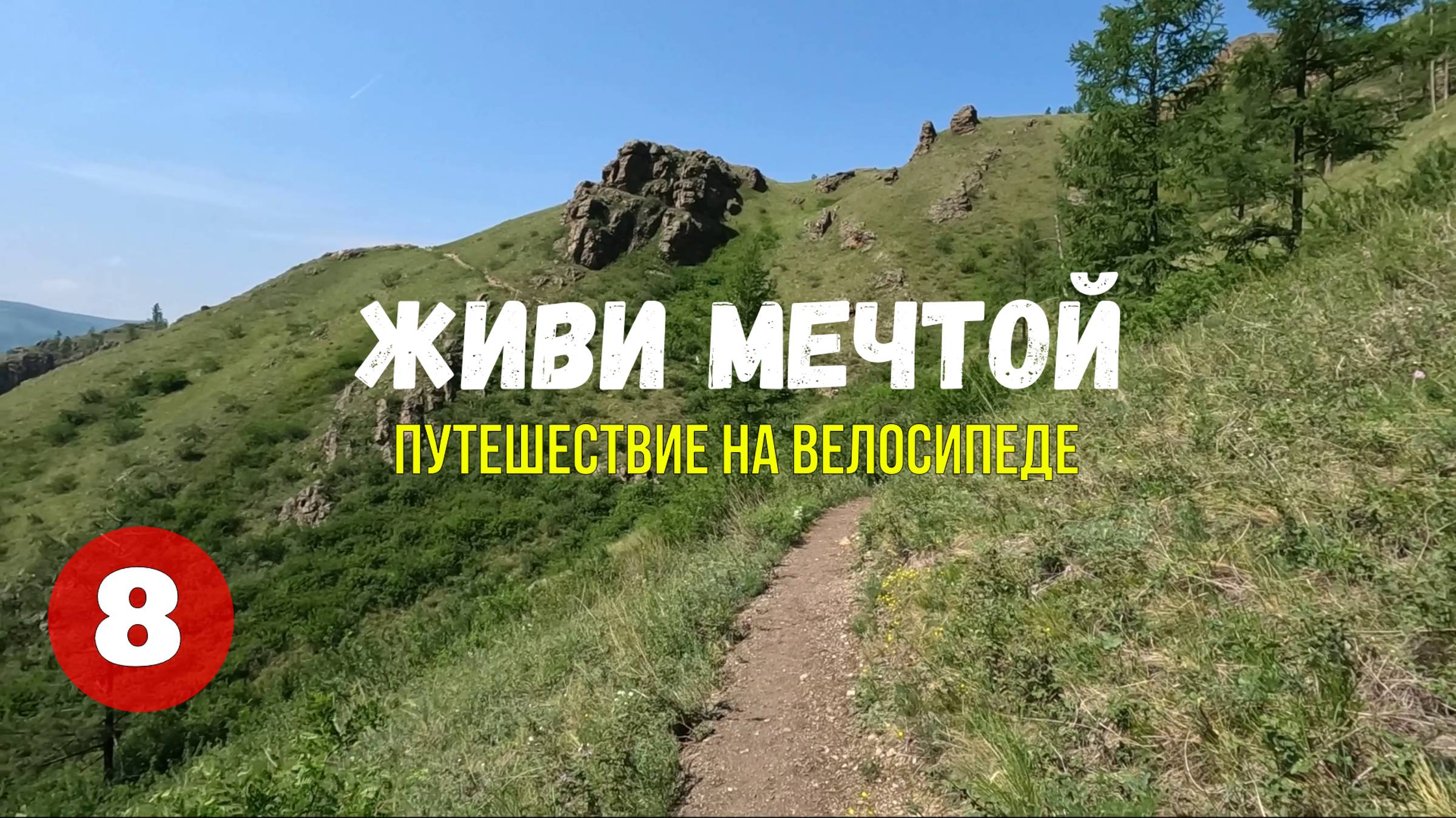 Живи мечтой #8