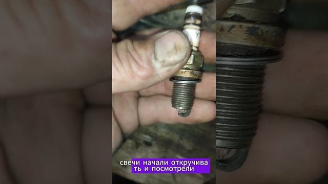 Приколы сто....Сто моментов юмора №22 #приколы #развлечения #смех #юмор #смешныевидео #automobile