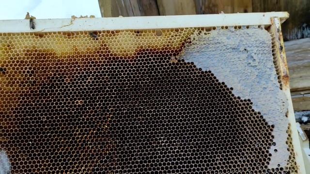 проблемма с зимовкой решена