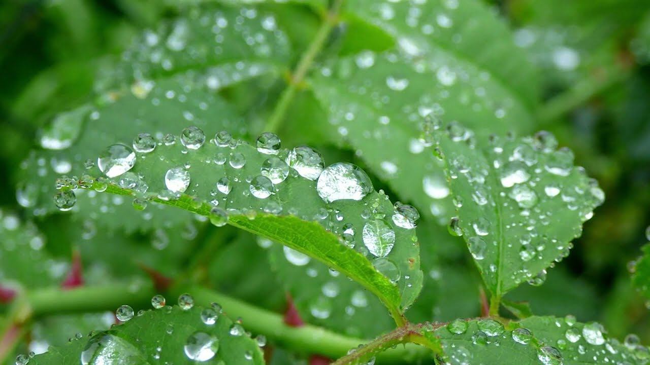 Капли. Красивая фортепианная музыка/Drops. Beautiful piano music