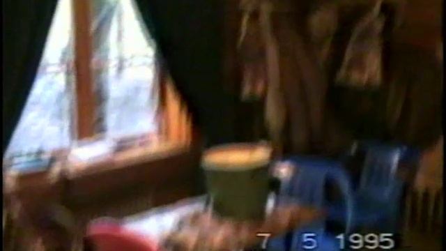 7  МАЯ 1995 год Ставрополь, парк Победы, кафе Росинка