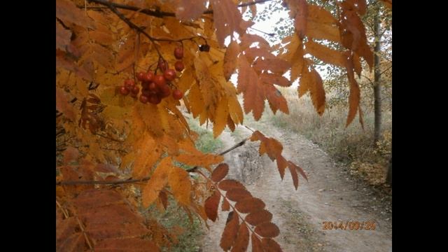 НИНА ЗОРИХИНА.   Стихи  о  любви  к  родному  дому,  деревне